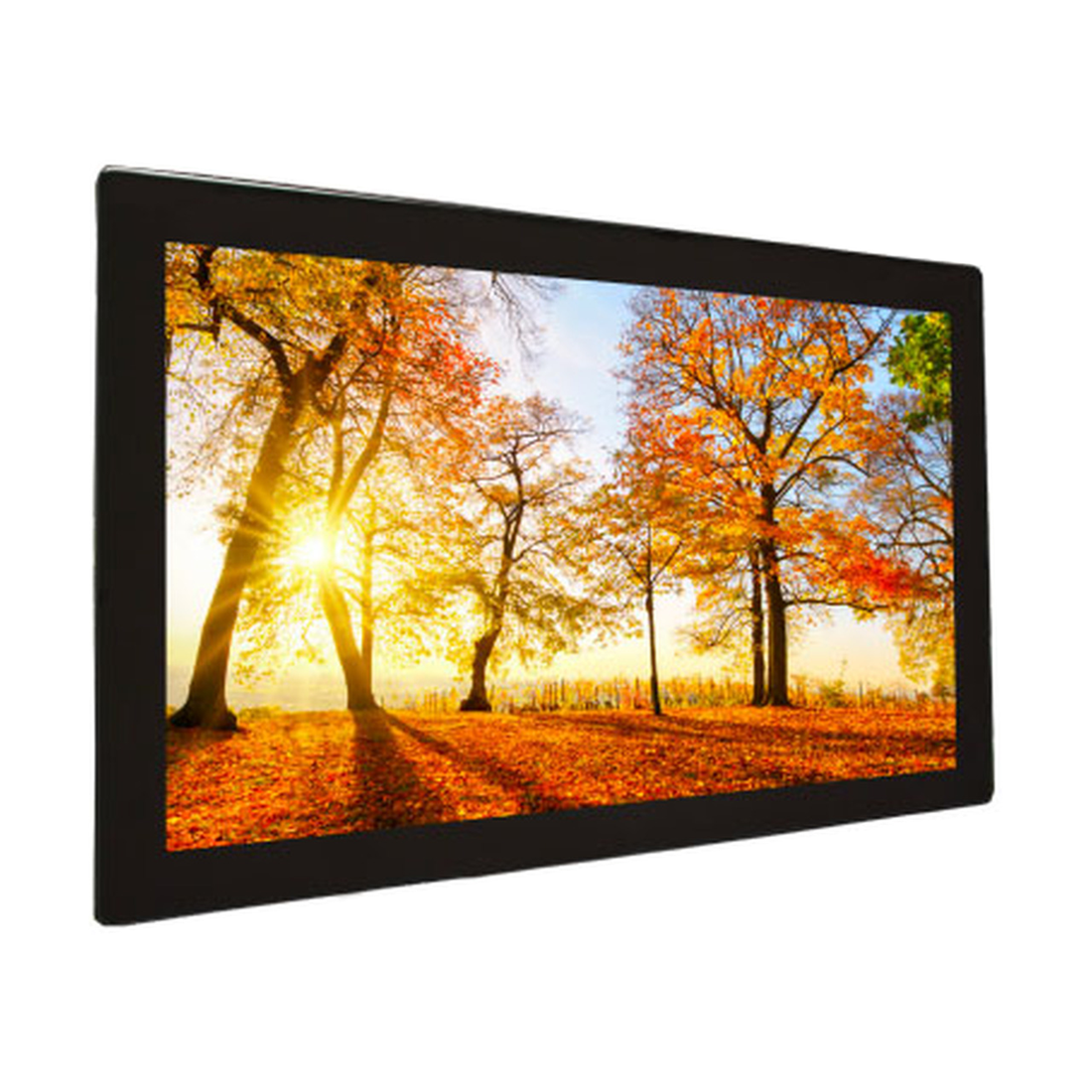 22" New Goldfinger Monitor – Miele Manufacturing